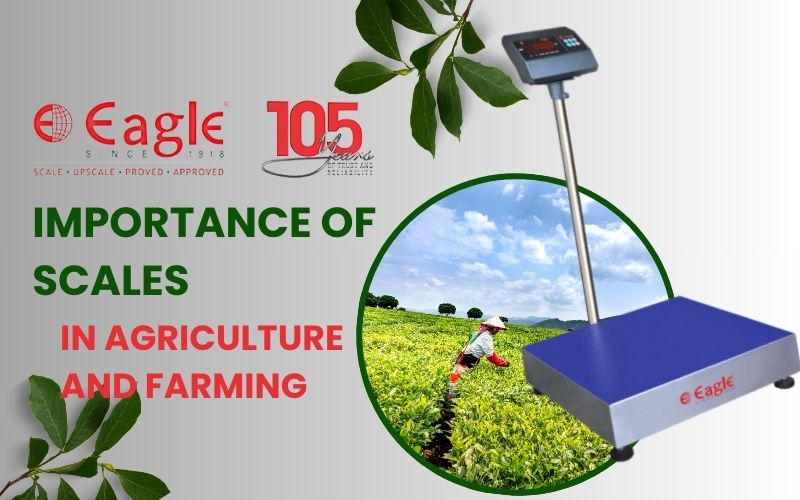 Importance of Scales in Agriculture and Farming | Accurate Meezan